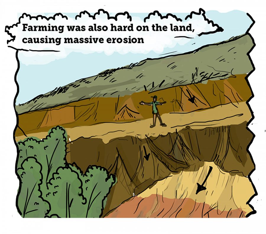 Illustrated by Alana McGillis