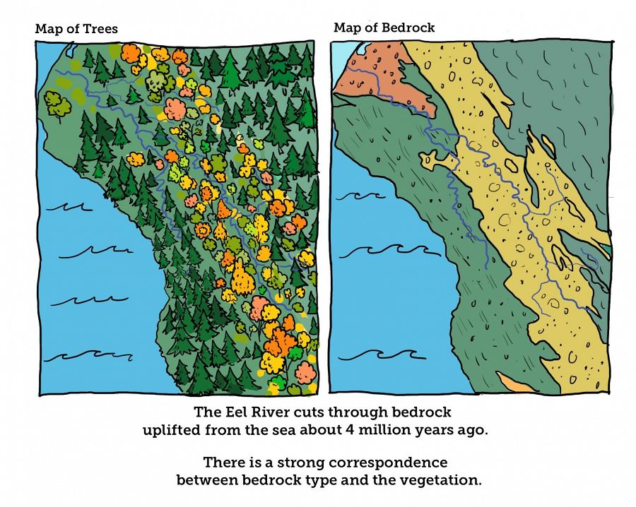 What is the Eel River Critical Zone Observatory? | National Critical ...