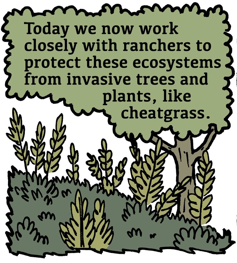 What is the Reynolds Creek Critical Zone Observatory? | National ...