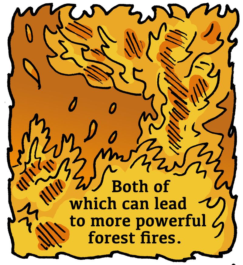 What is the Reynolds Creek Critical Zone Observatory? | National ...