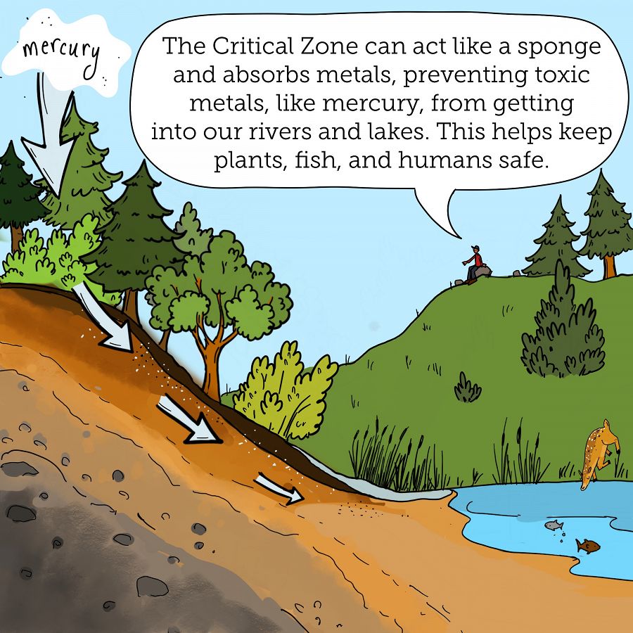 Investigating mercury sources in the deep Critical Zone | National ...