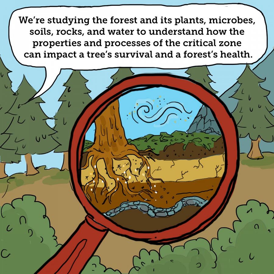 What is the Southern Sierra CZO? | National Critical Zone Observatory