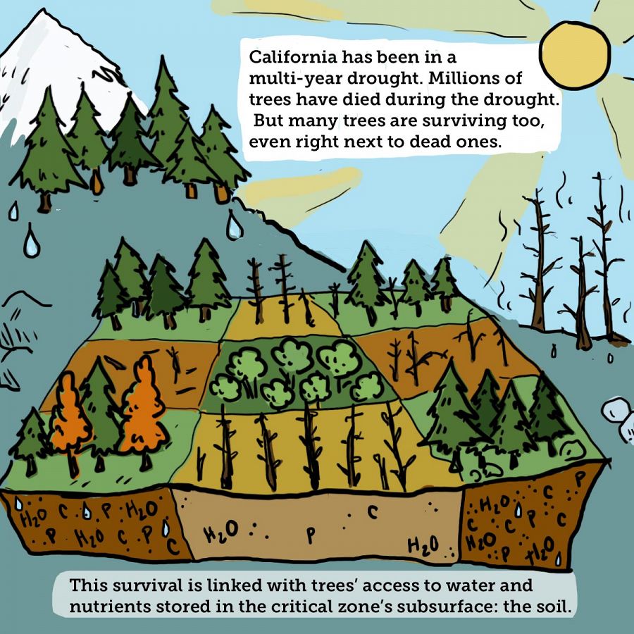 What is the Southern Sierra CZO? | National Critical Zone Observatory