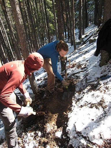 Abby and Daniel digging a trench