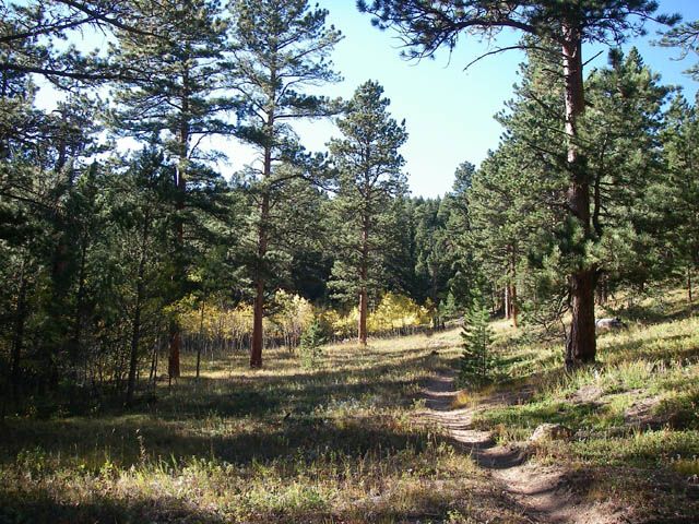 Gordon Gulch | Boulder Critical Zone Observatory
