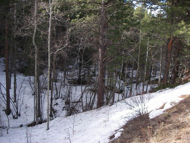 Gordon Gulch | Boulder Critical Zone Observatory