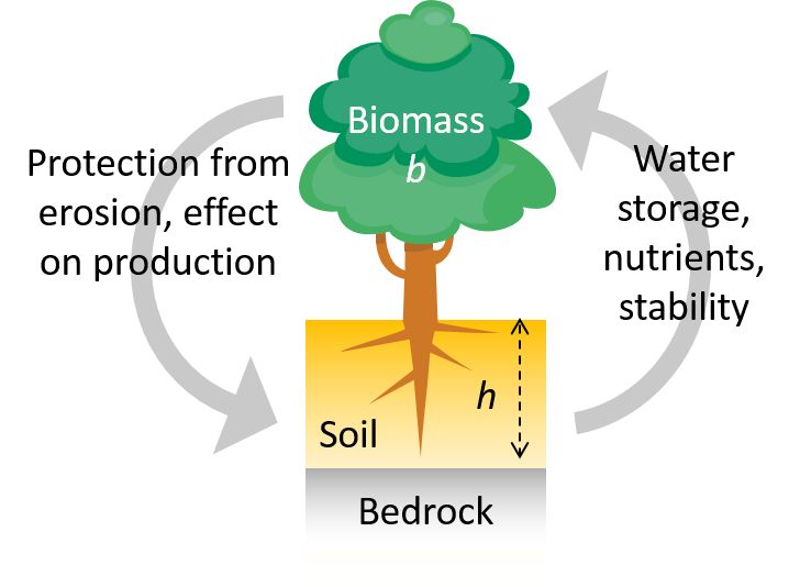 Bistable plant-soil dynamics and biogenic controls on the soil ...