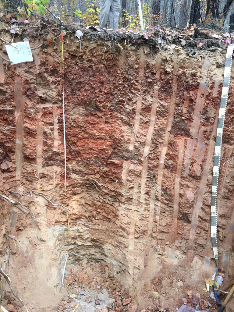 Remarkable soil profile R8P1. The land was seriously eroded 1800-1930 ...