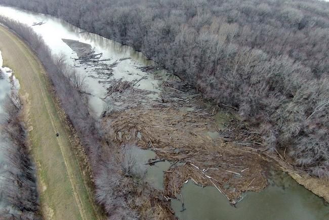 Logjam Clogs Sangamon River, just as it did in the 1930s and ‘40s | IML ...
