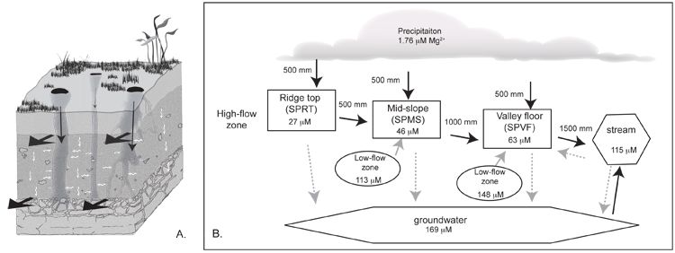 Hydrogeochemical Model | Shale Hills Critical Zone Observatory