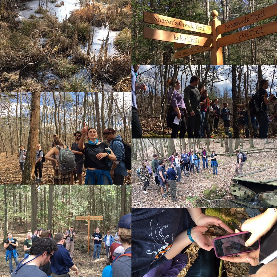 General Public | Shale Hills Critical Zone Observatory