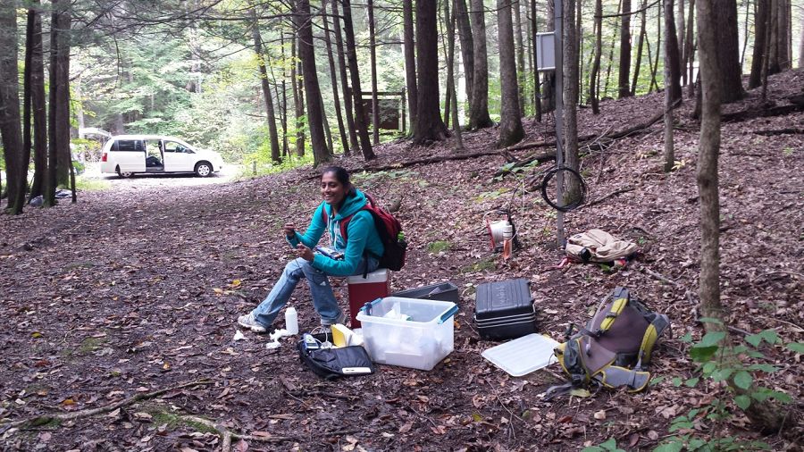 Geoscience students investigate the catchment and beyond | Shale Hills ...