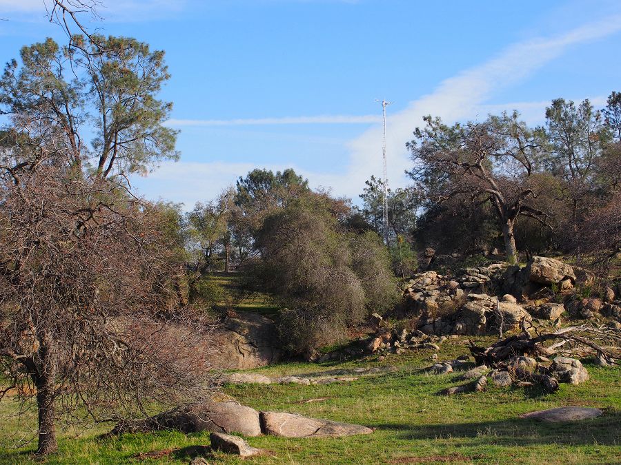 USDA Forest Service - Pacific Southwest Research Station | Sierra ...